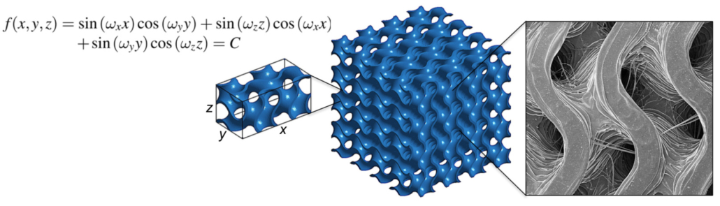 NeMO Lab – Sharebot